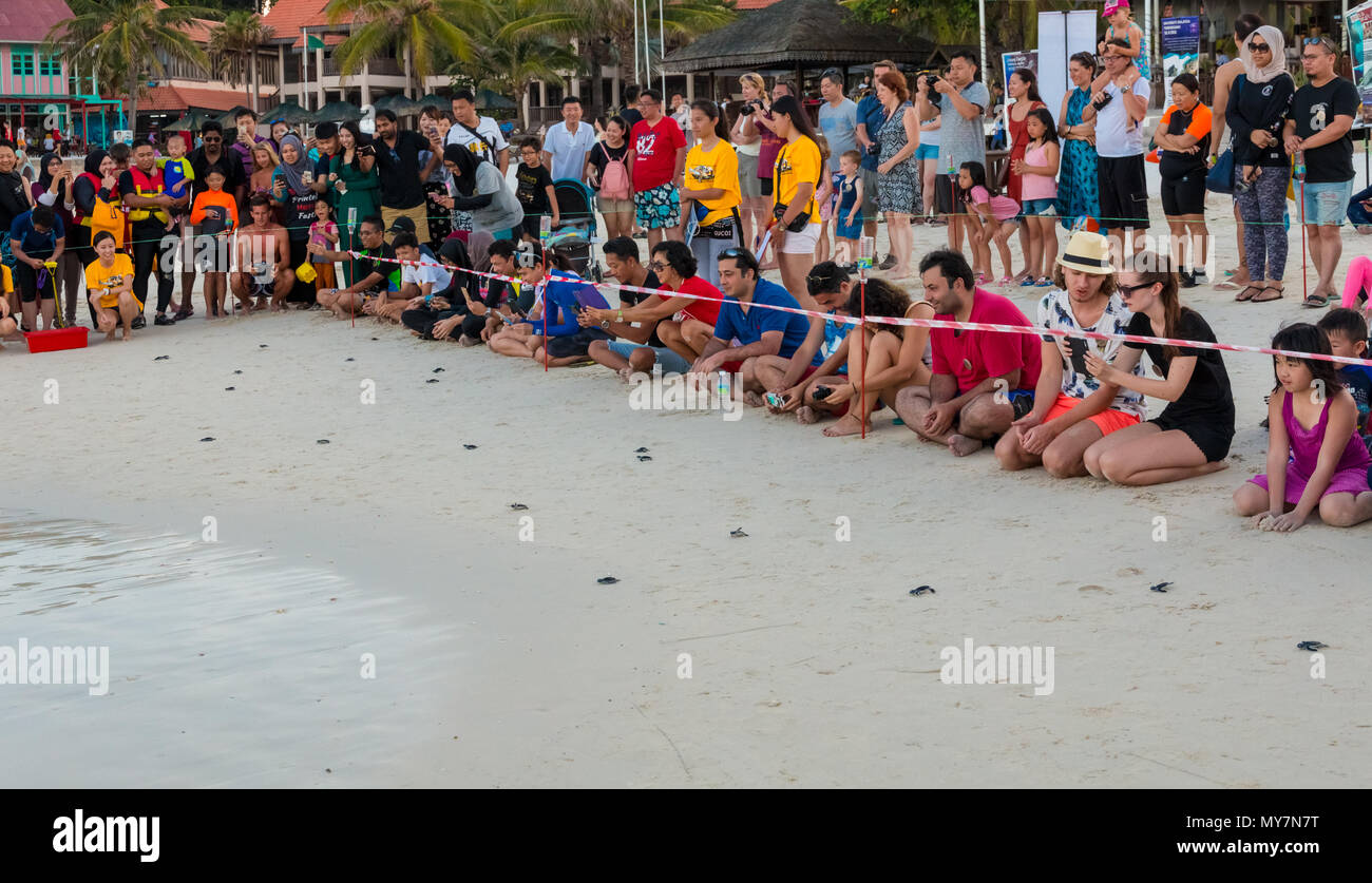 Turtle head island and china hi-res stock photography and images - Alamy