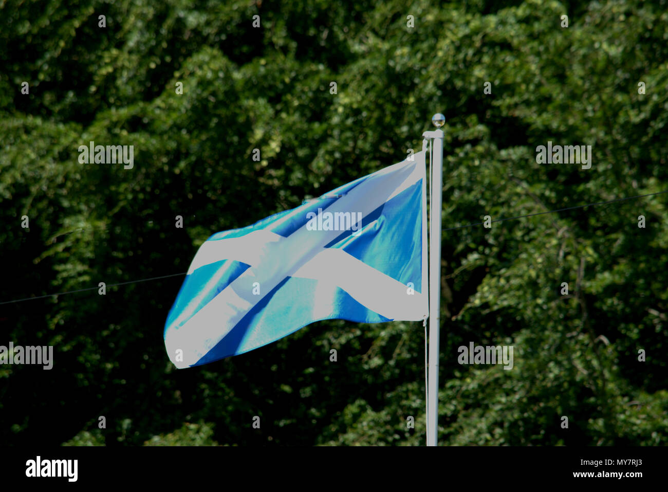 With Saltire Cross High Resolution Stock Photography and Images - Alamy