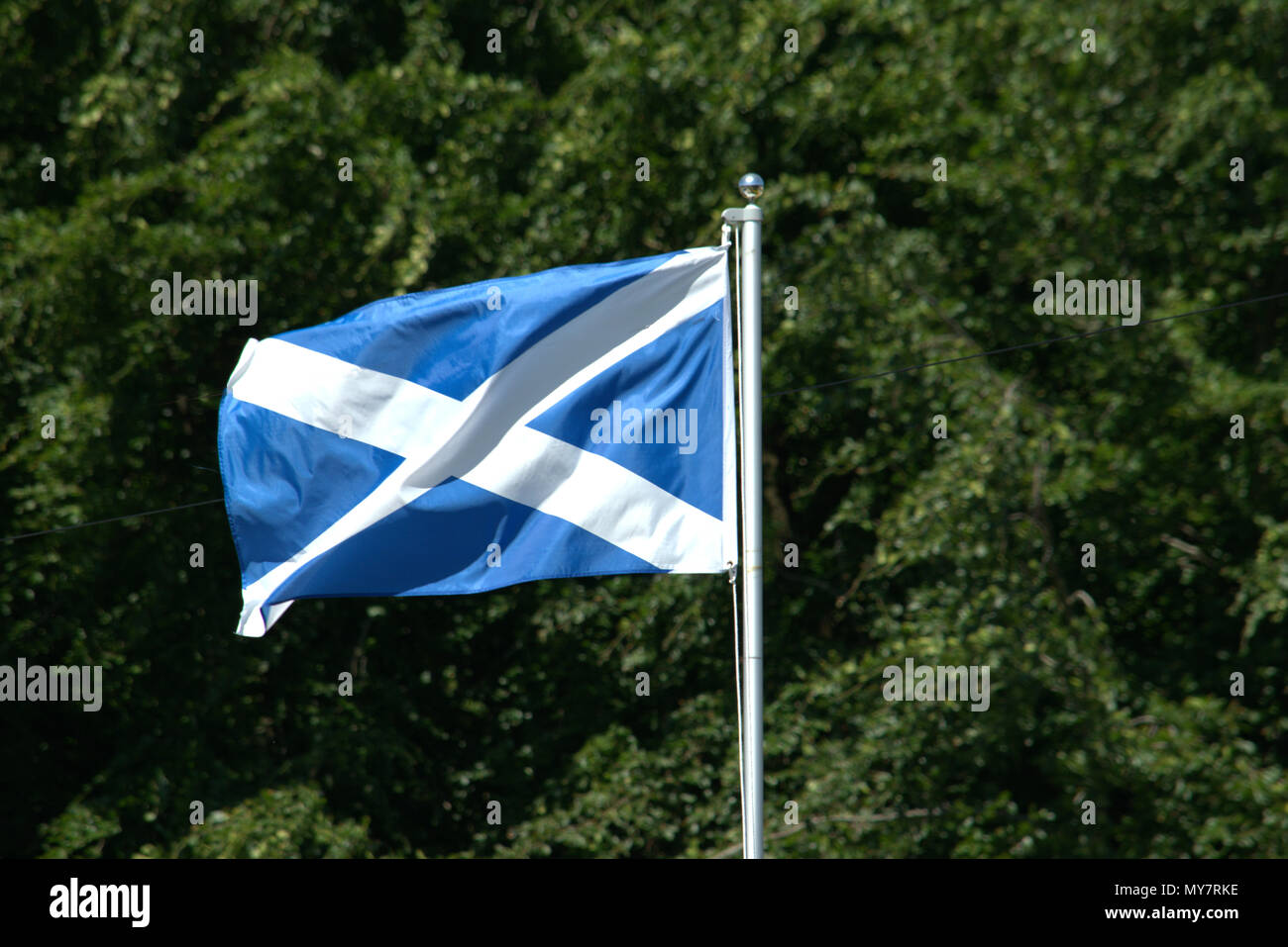 Scottish flag, St. Andrew's cross, the saltire Stock Photo - Alamy