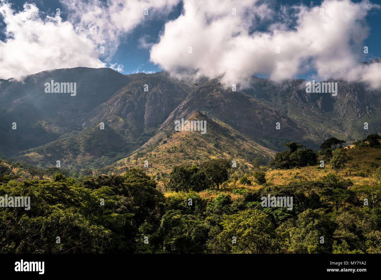 Mulanje mountain hi-res stock photography and images - Alamy