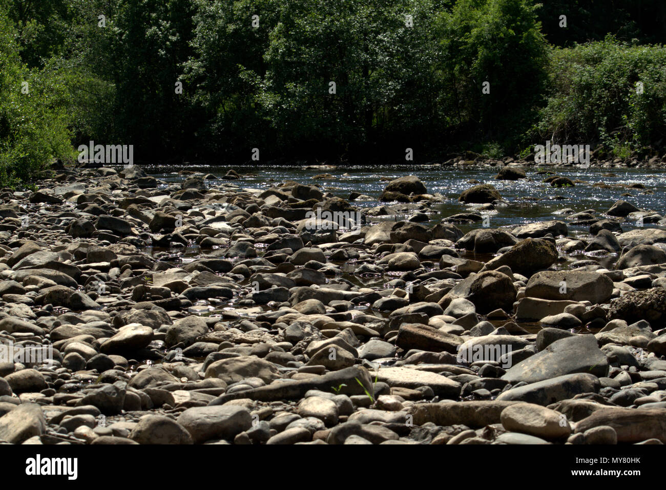 View of the River Ayr at Sorn, Ayrshire, Scotland Stock Photo - Alamy