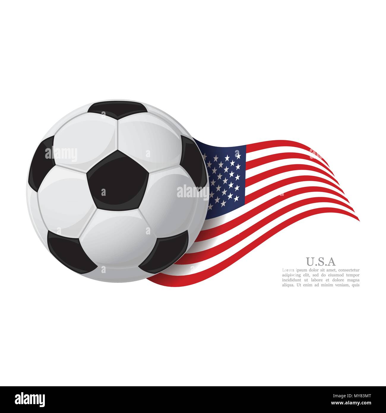 United states football badge hi-res stock photography and images - Alamy