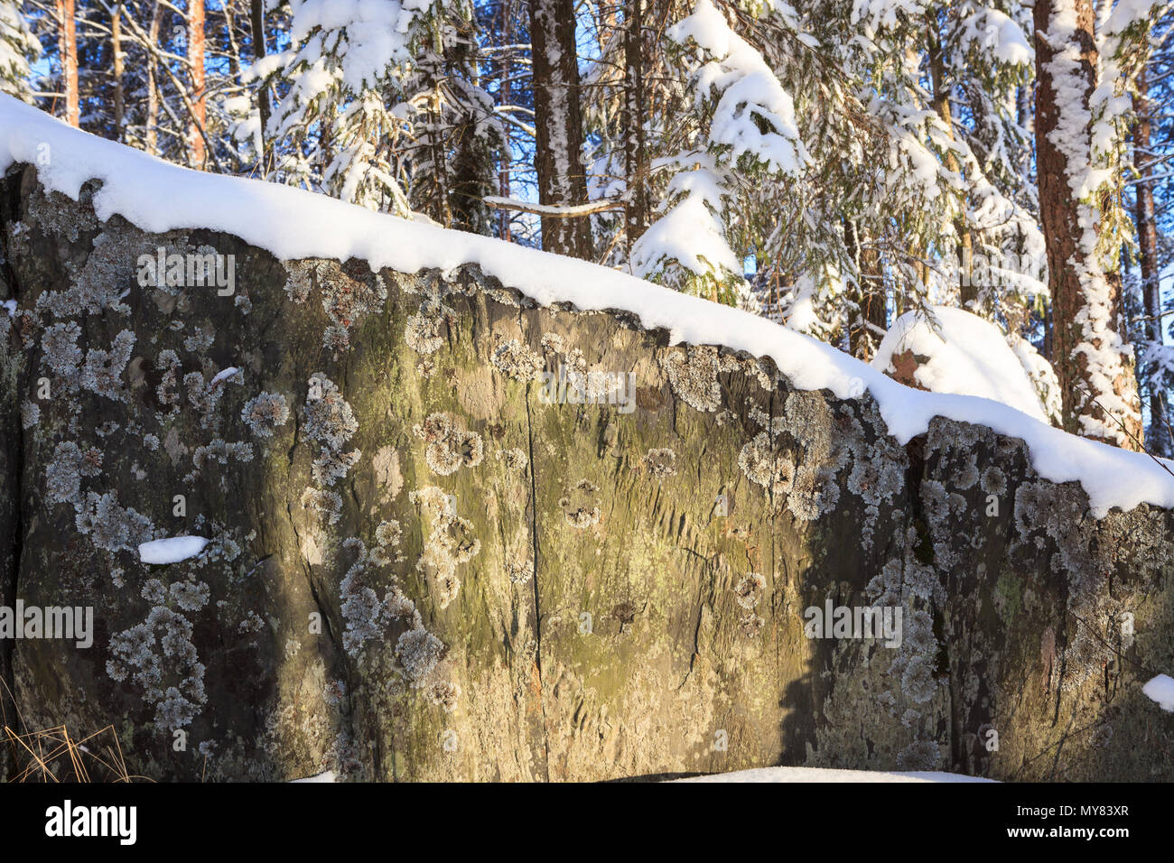 Big rock in snowy forest Stock Photo - Alamy