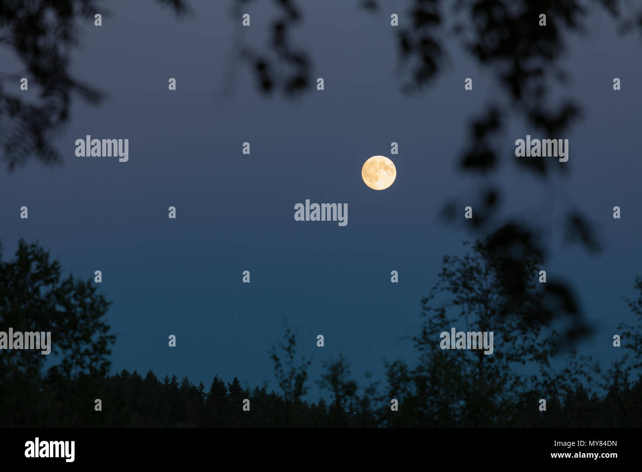 Full moon at night sky Stock Photo - Alamy