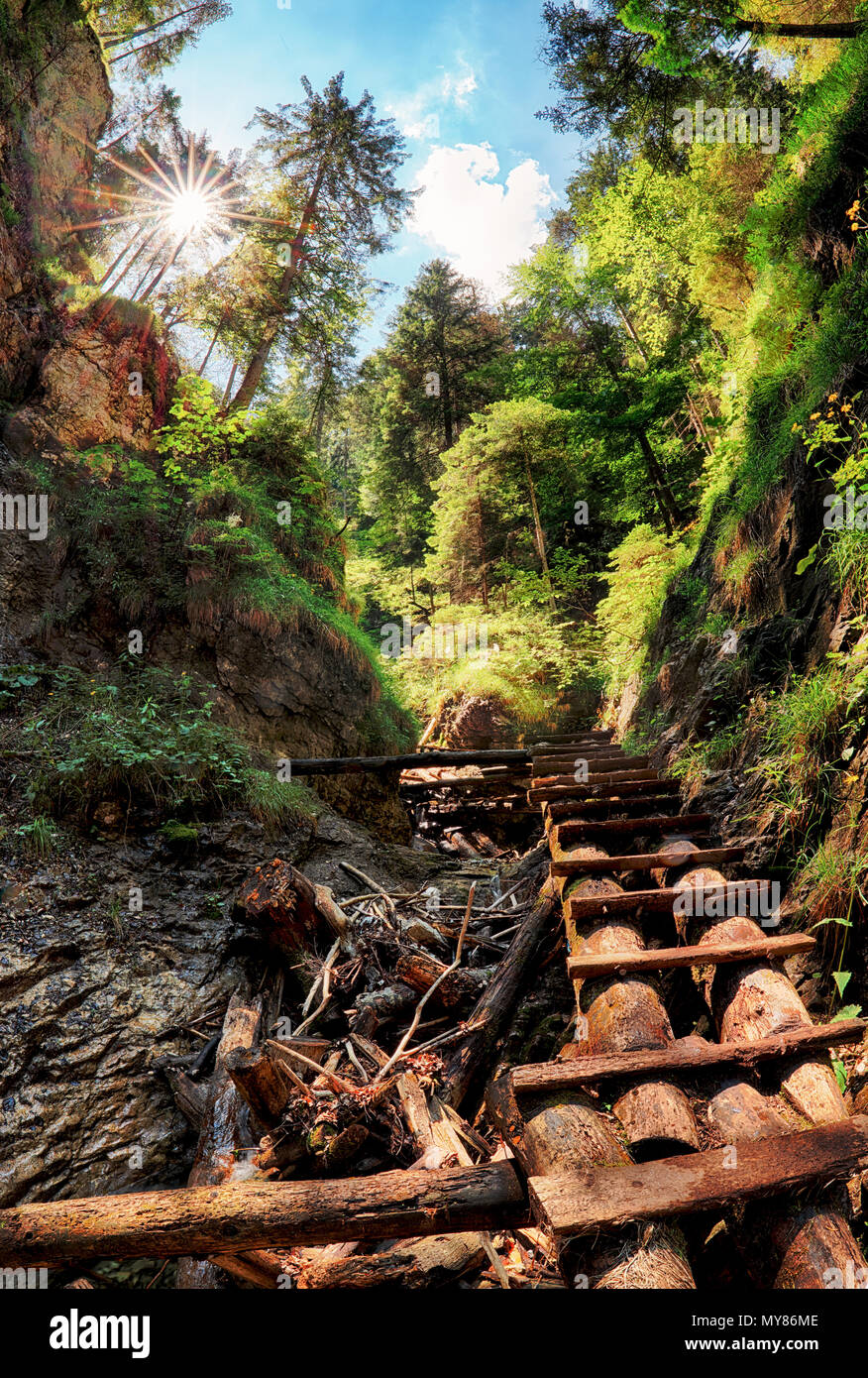 Slovensky raj hi-res stock photography and images - Alamy