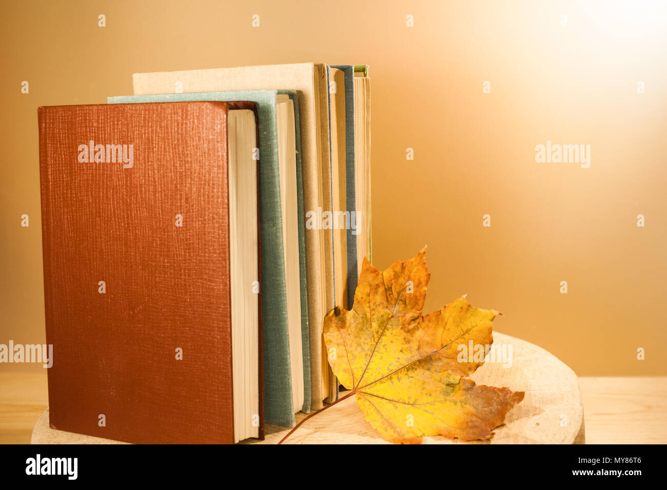 Vertical stack of books, yellow maple leaf on wooden saw cut ...