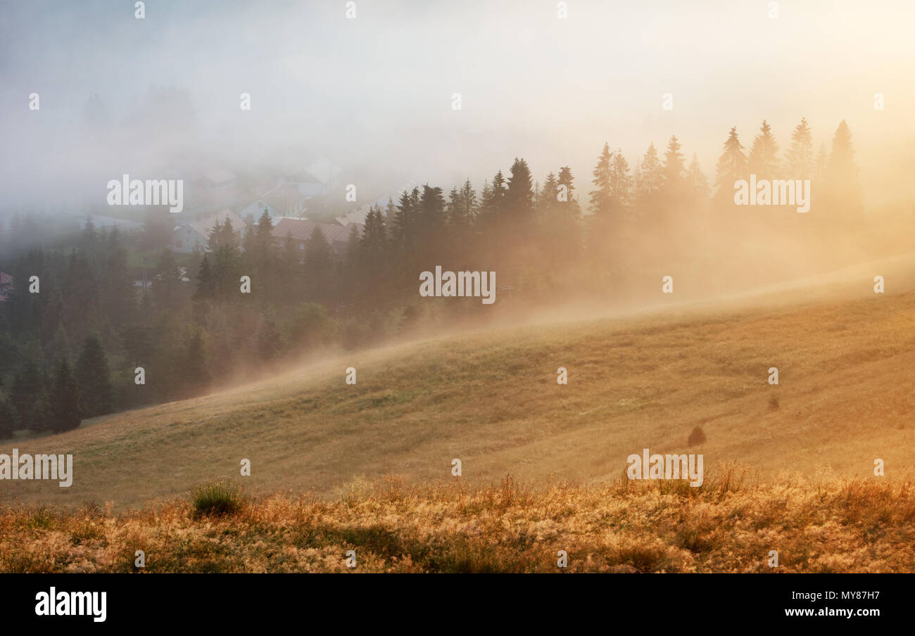 Landscape of valley at sunset Stock Photo - Alamy