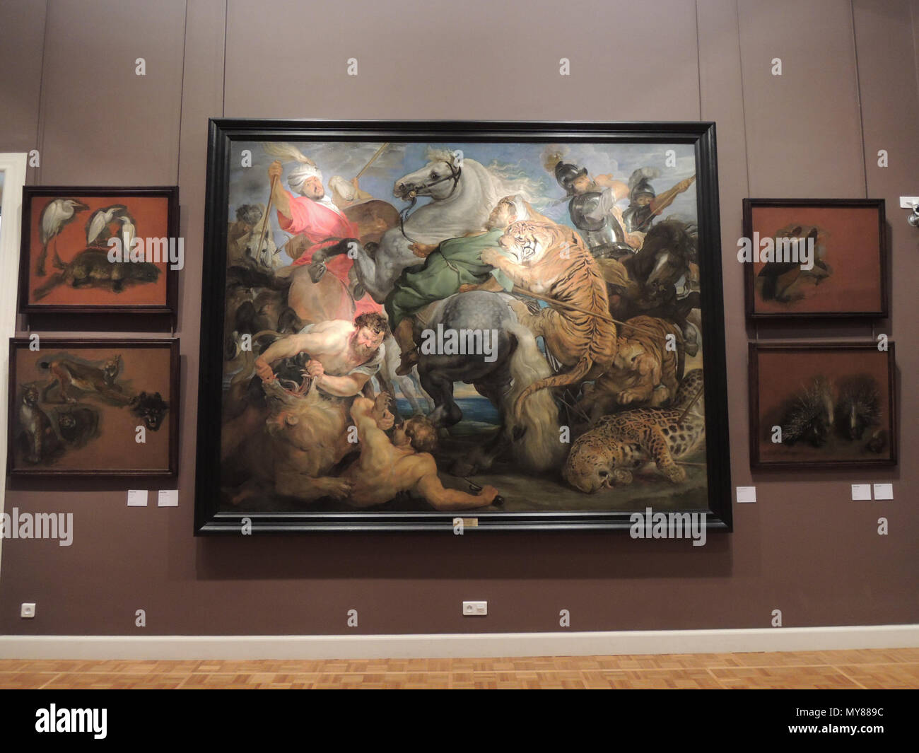 . The Tiger Hunt . Français : La Chasse au tigre de Rubens au musée des ...