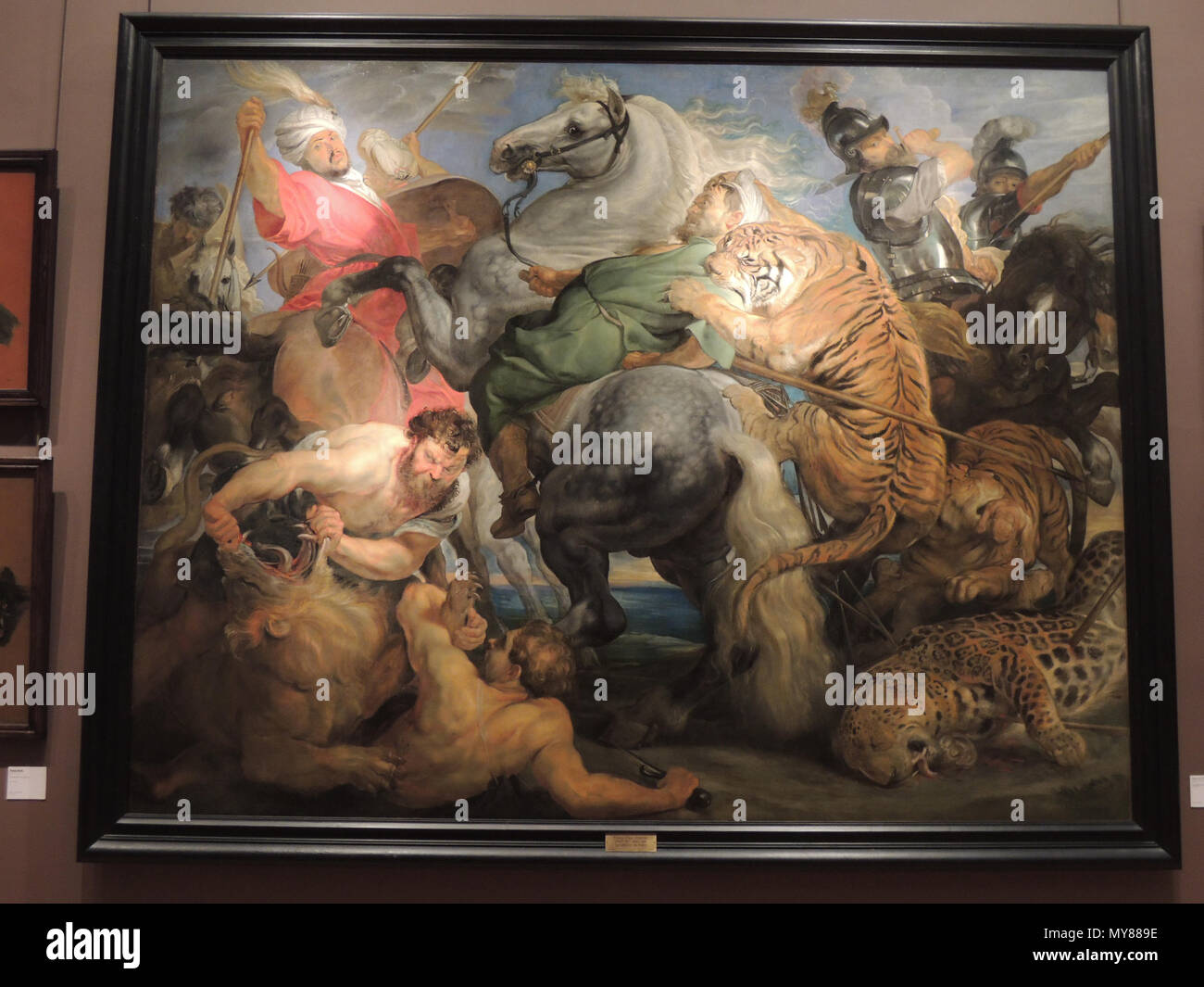 . The Tiger Hunt . Français : La Chasse au tigre de Rubens au musée des ...