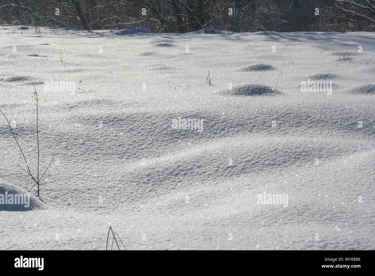 snow-covered field with sparkling snowflakes Stock Photo - Alamy