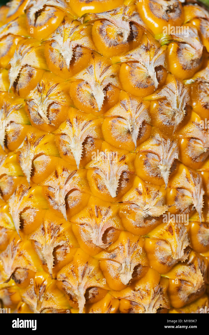 Tropic fruit hi-res stock photography and images - Alamy