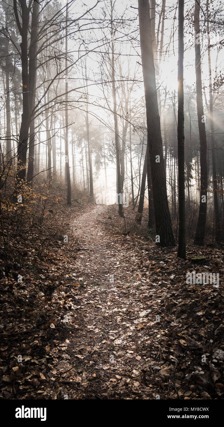 Snowless winter hi-res stock photography and images - Alamy