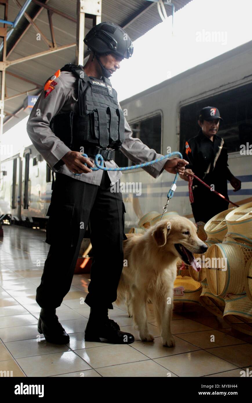 Sniffer dog unit hi-res stock photography and images - Alamy
