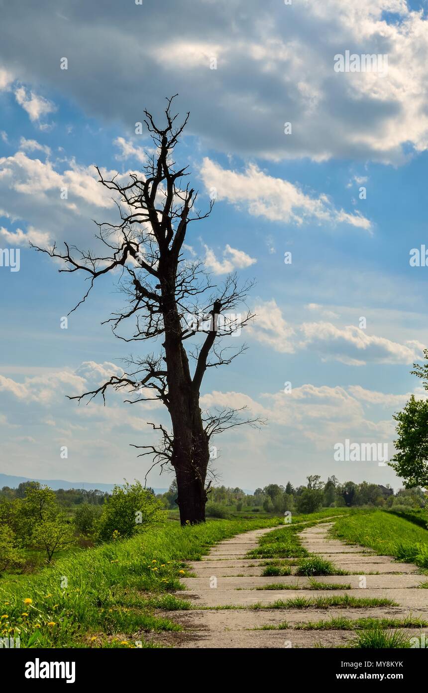 Beautiful spring landscape. Concrete road in the countryside Stock ...