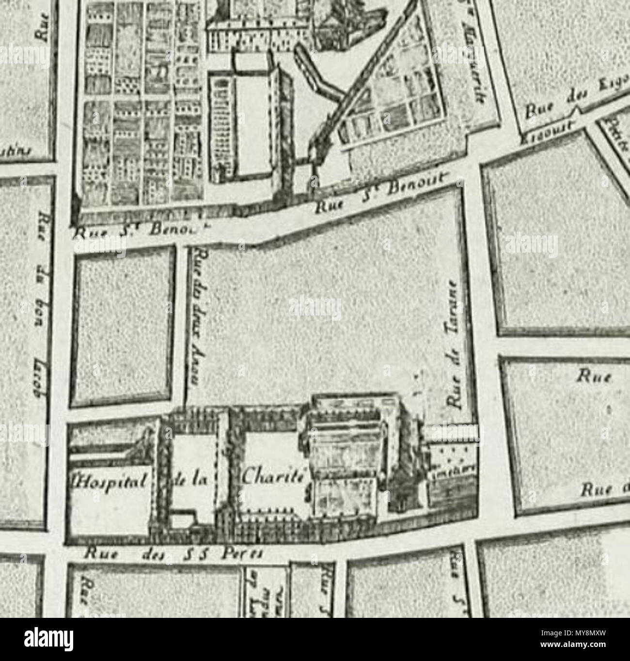 Taranne High Resolution Stock Photography and Images - Alamy