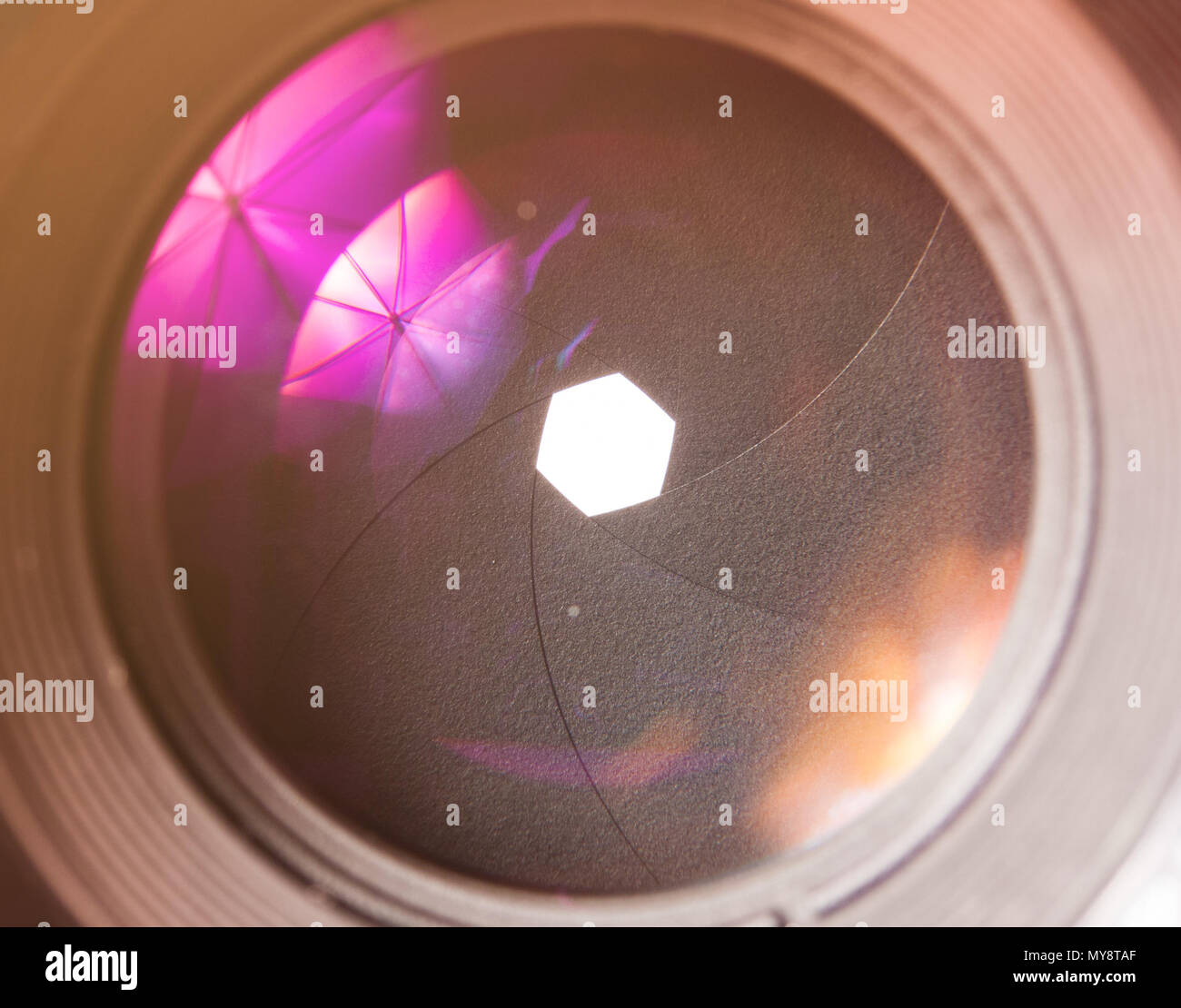 Diaphragm picture hi-res stock photography and images - Alamy