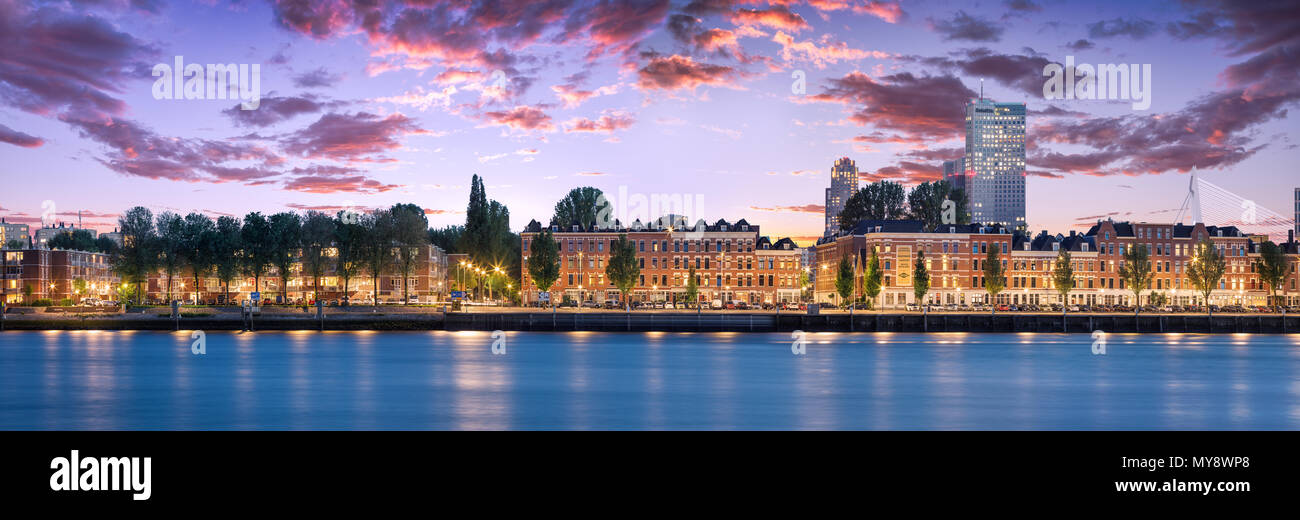 Rotterdam skyline view with modern office buildings in the background ...