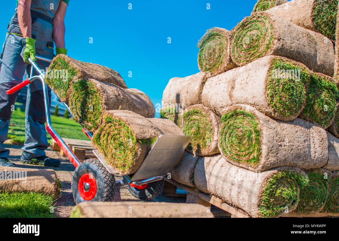 Natural grass turf professional installer hi-res stock photography and ...