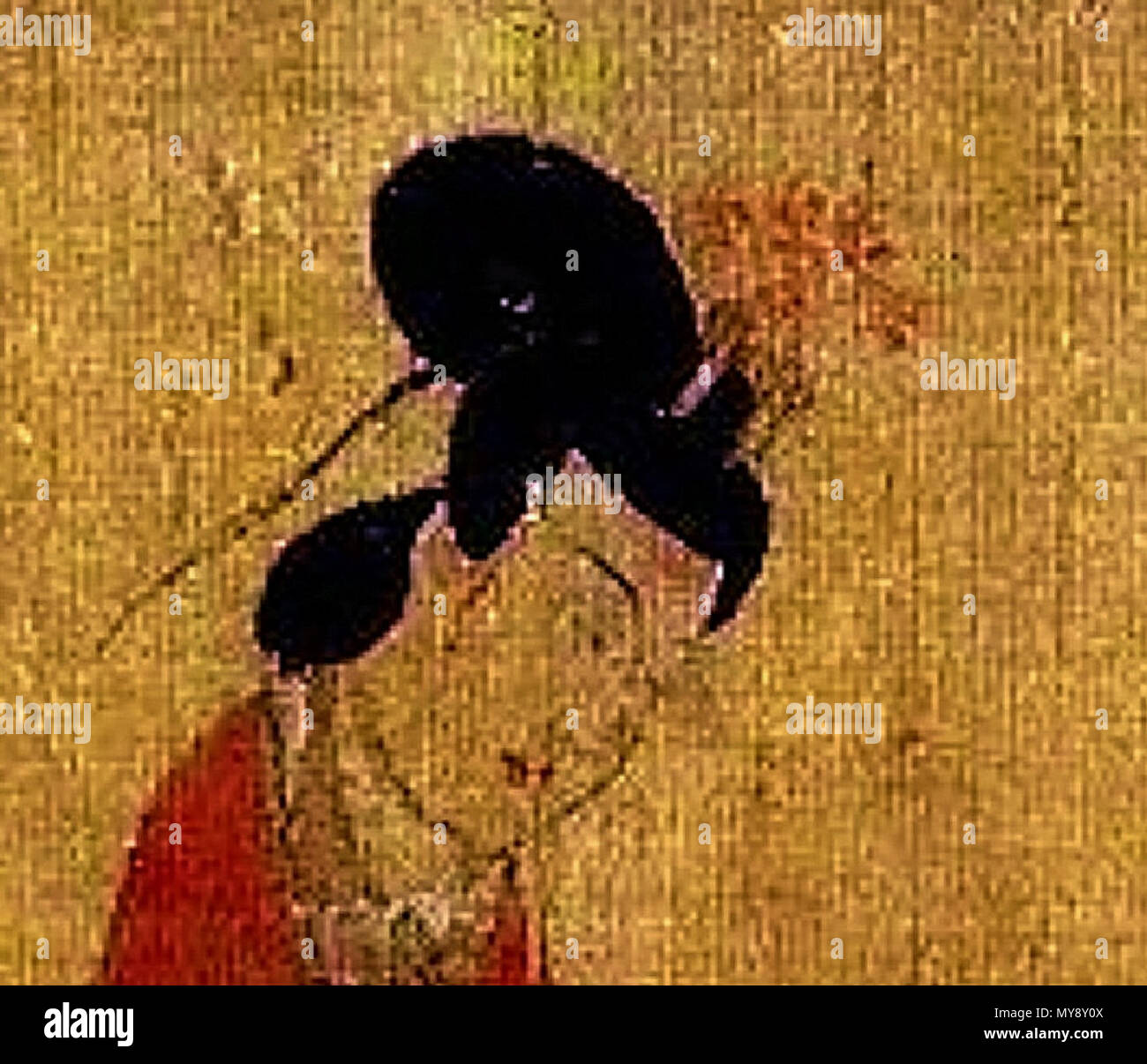 6th century 8th century hi-res stock photography and images - Alamy