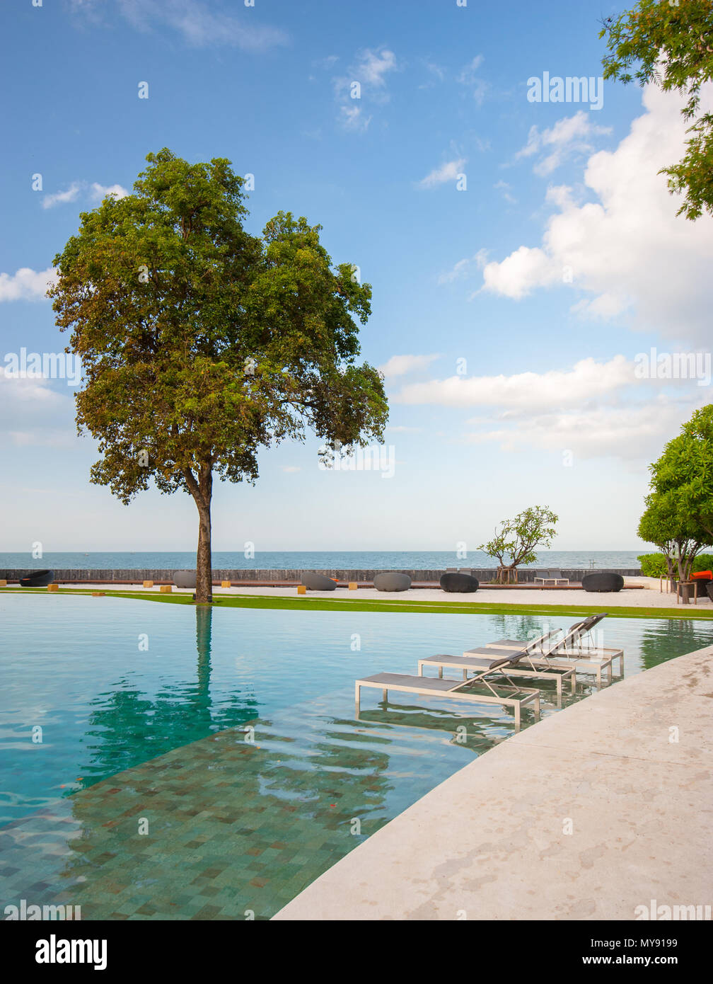 Garden tree sunset resort green tourist hi-res stock photography and ...