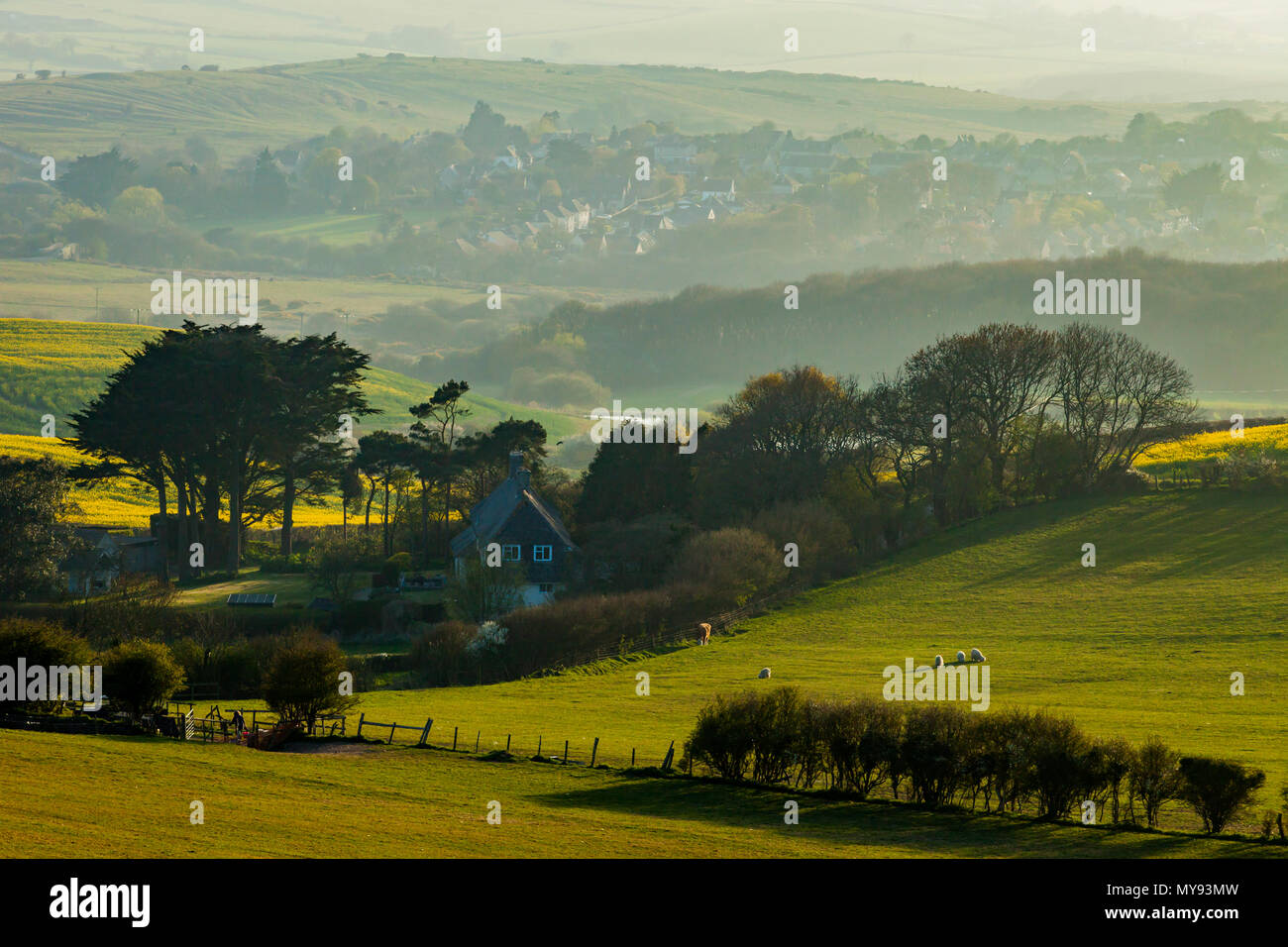 Spring afternoon on the Isle of Purbeck in Dorset, England Stock Photo ...