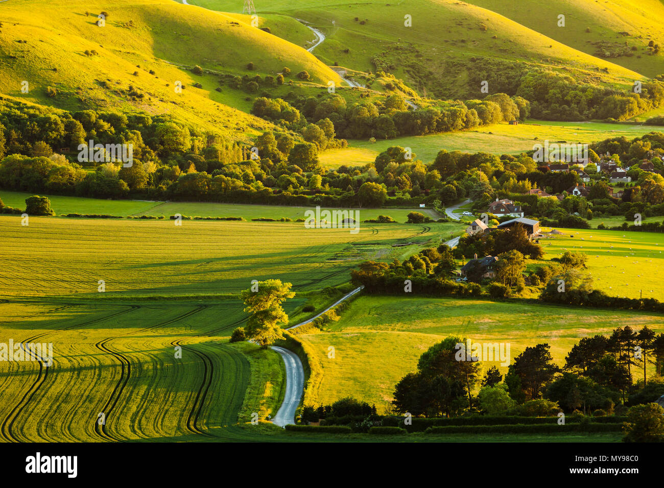 Spring sunset in South Downs National Park, West Sussex, England Stock ...