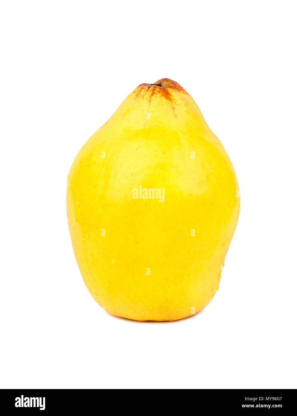 Ripe yellow quince fruit isolated on white background Stock Photo - Alamy