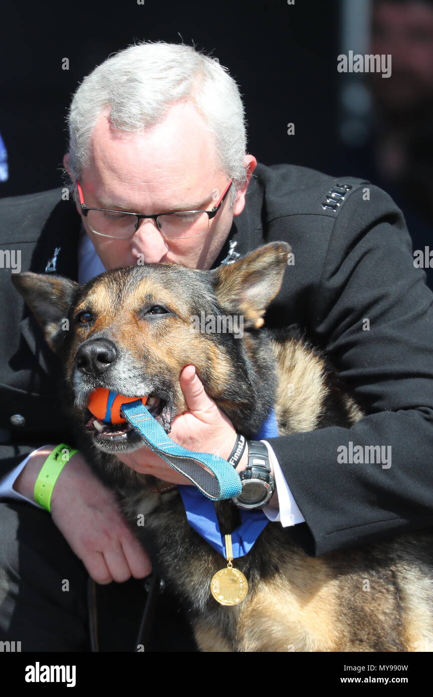 Pdsa award hi-res stock photography and images - Alamy