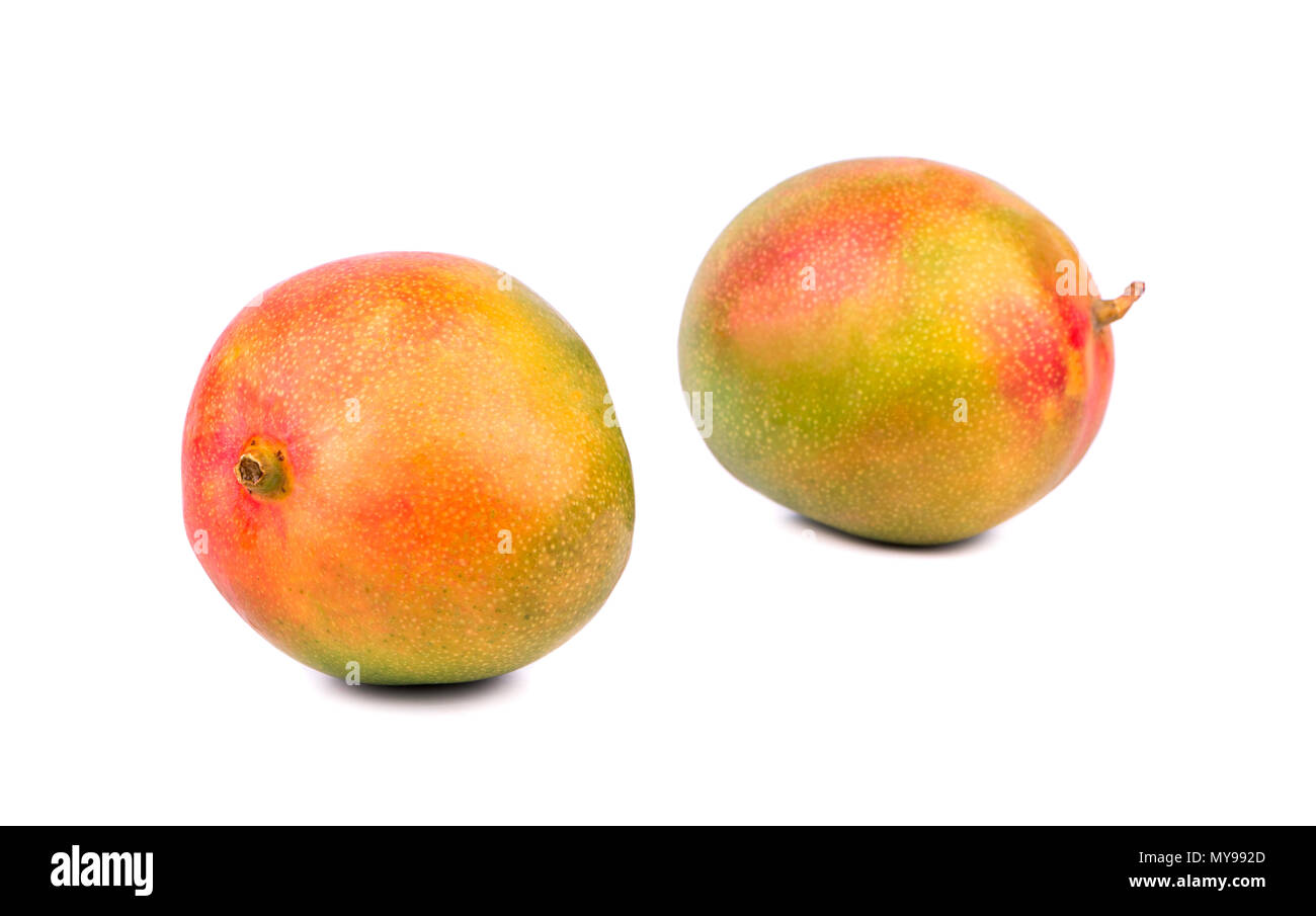 Two fresh mango tropical fruit isolated on white background Stock Photo ...