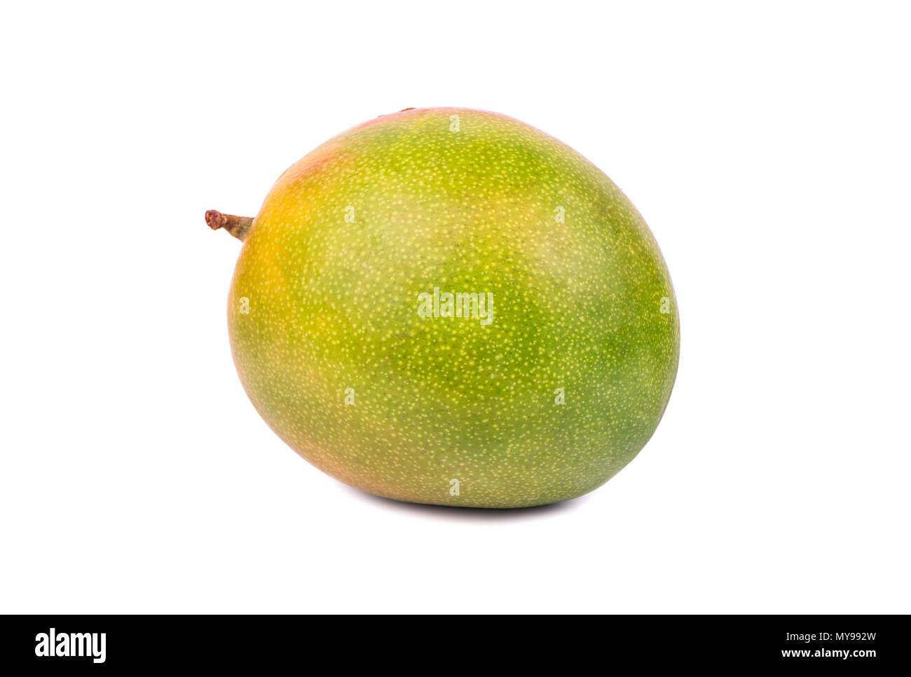 Fresh green tropical mango fruit isolated on a white background Stock ...