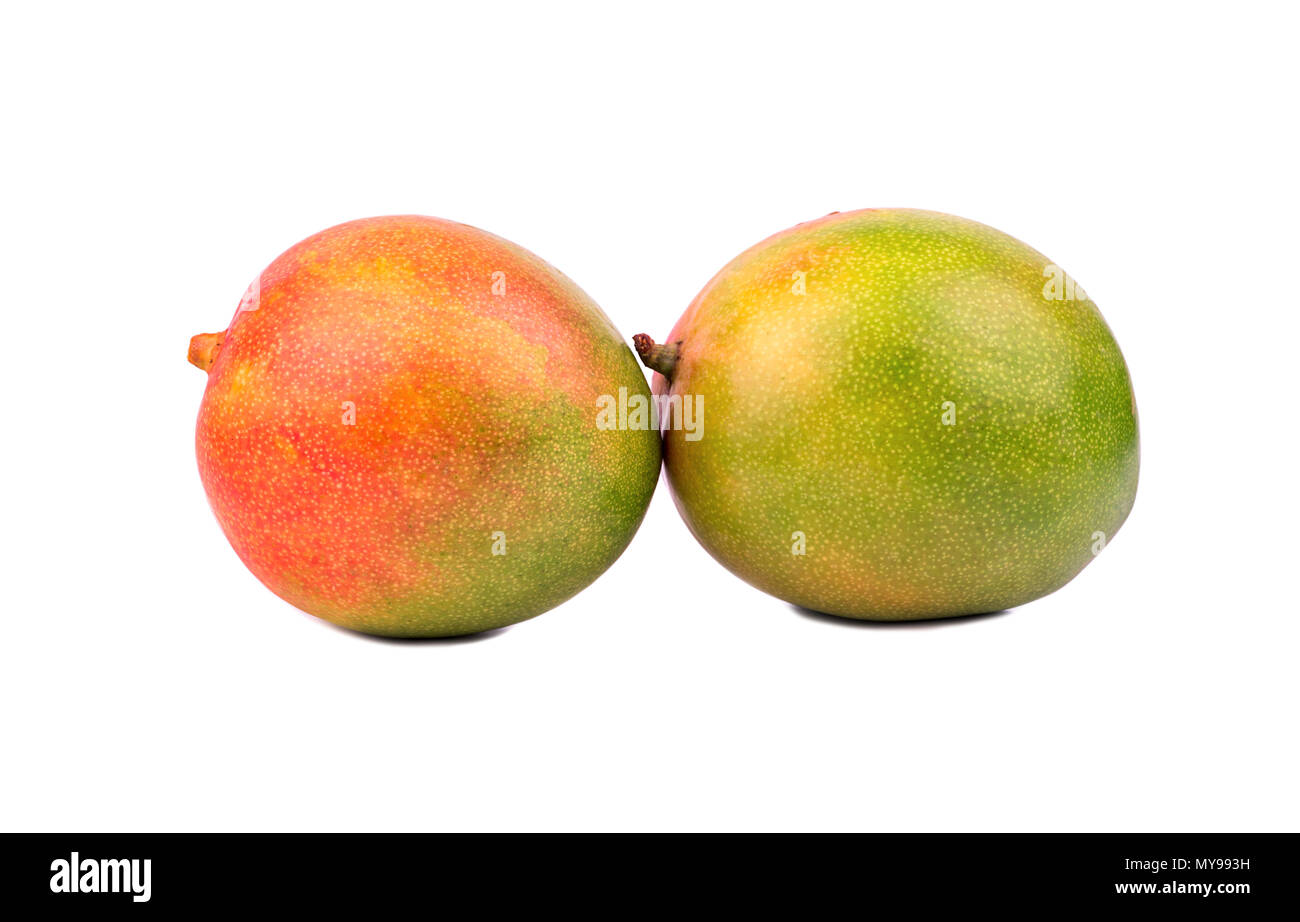 Two ripe mango different colored fruit on a white background Stock ...