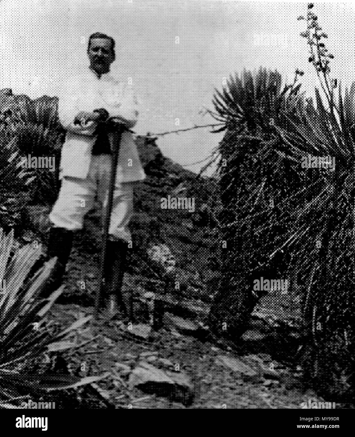 . Español: Alfredo Jahn en diciembre 1910 en el paramo de Timotes ...