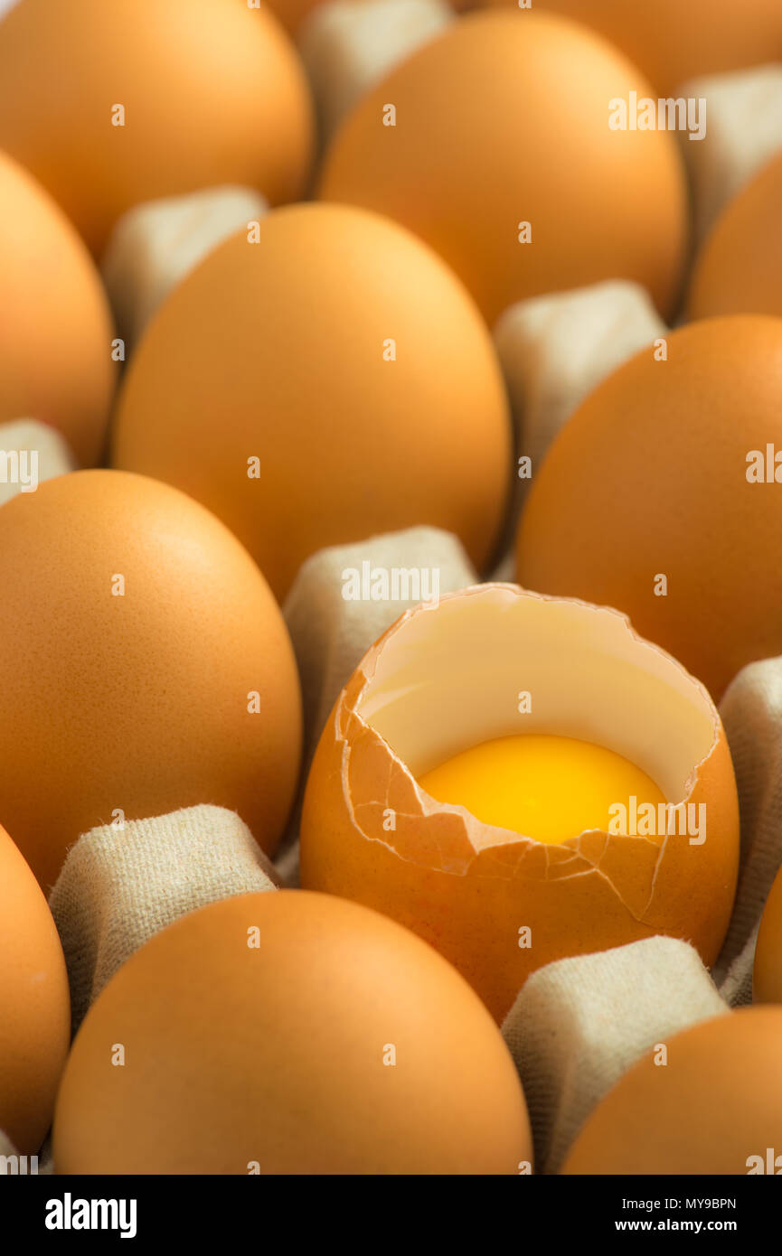 Uncooked egg yolk isolated above hi-res stock photography and images ...