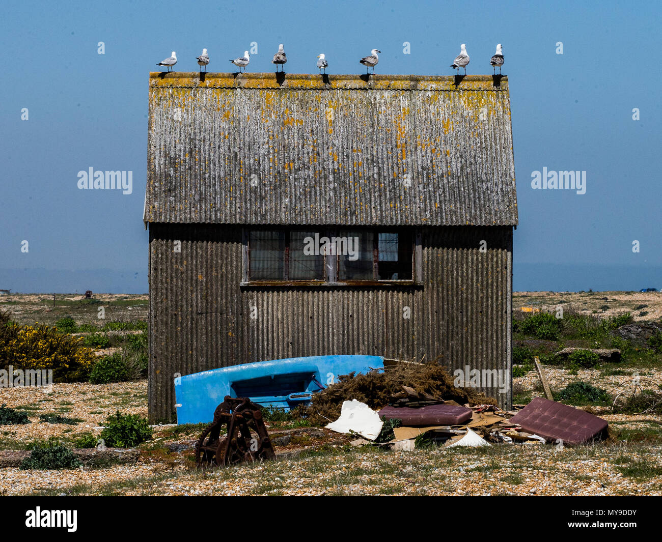 People enjoy the sunny Bank Holiday weekend weather at Dungeness ...