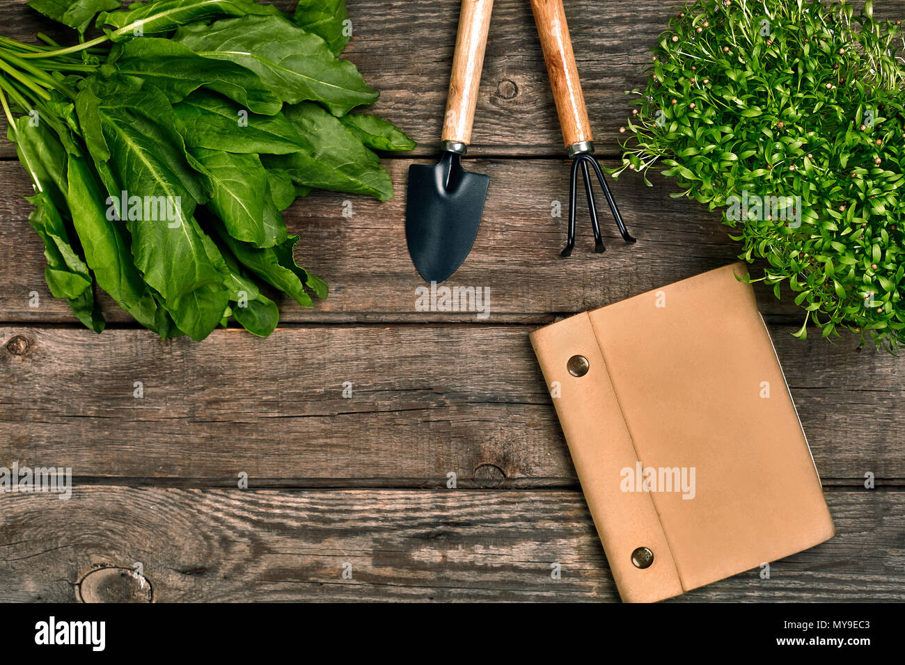 Gardening tools and greenery on wooden table. Spring in the garden ...