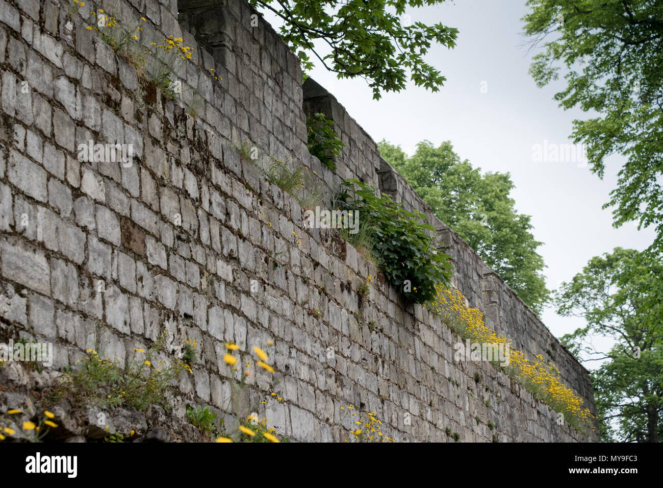 Walk Around Ramparts High Resolution Stock Photography and Images - Alamy