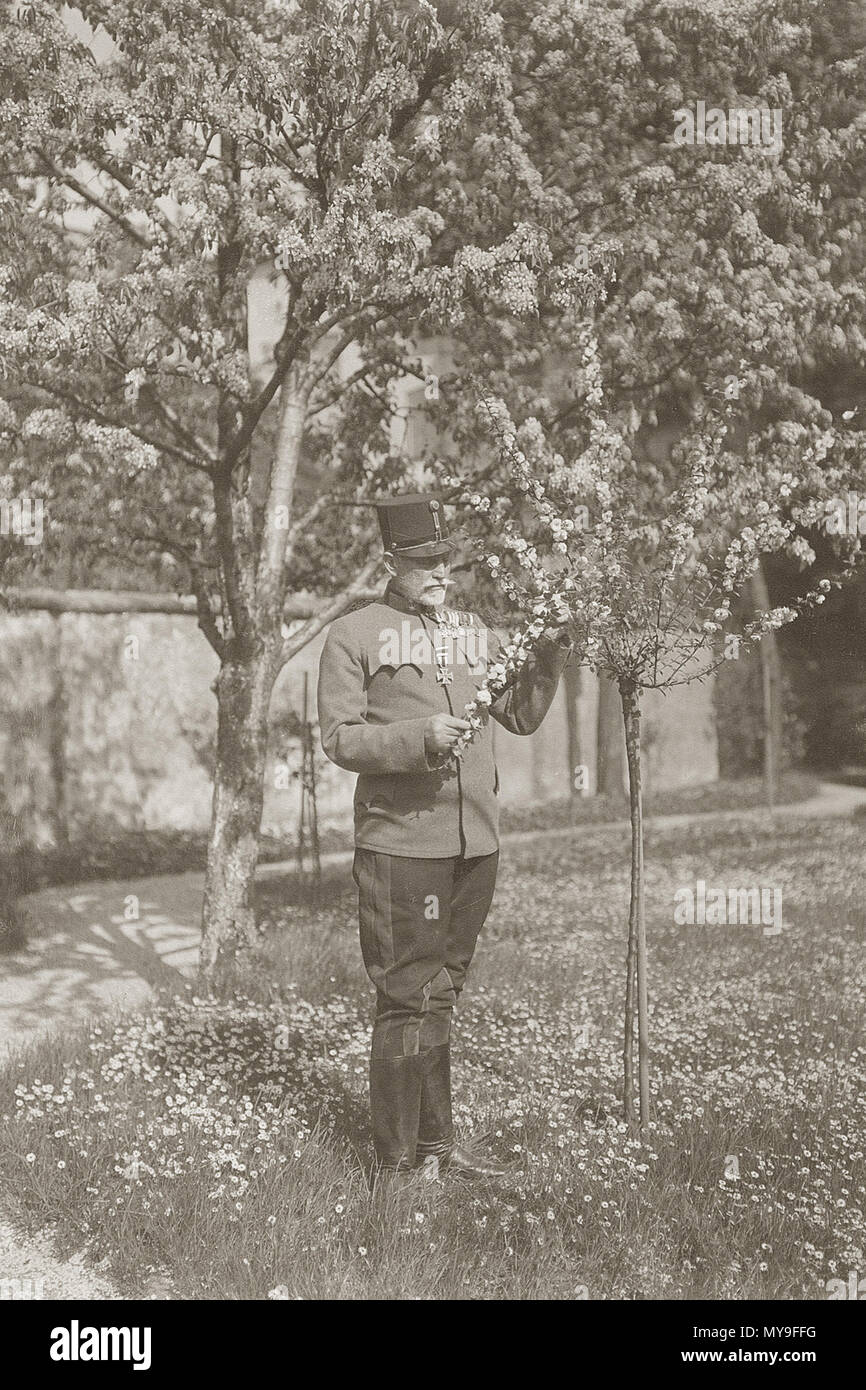 22 Adam Brandner als Feldmarschalleutnant 1917 in Olmütz Stock Photo ...