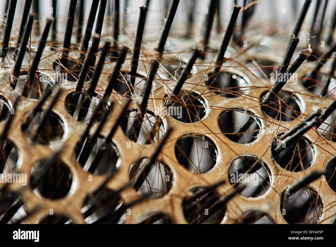 A fragment of a circular massage comb under a microscope. There are ...