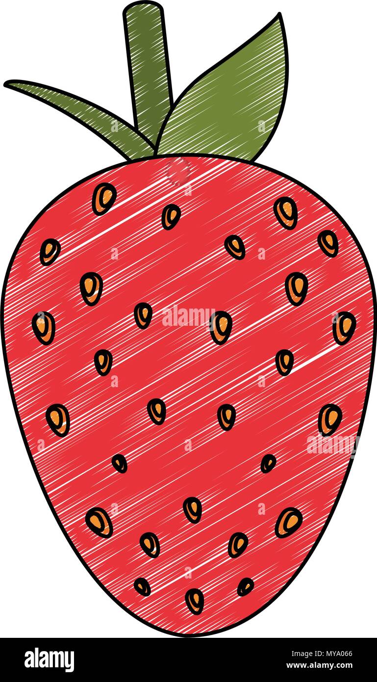Strawberry delicious fruit scribble Stock Vector Image & Art - Alamy