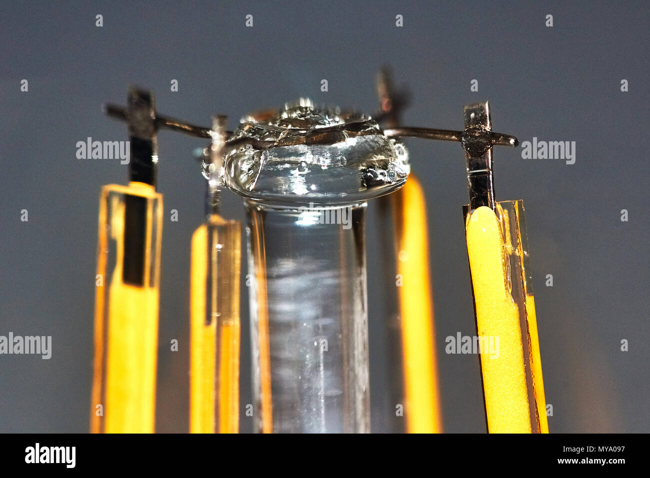 Under The Microscope Stock Photos & Under The Microscope Stock Images ...