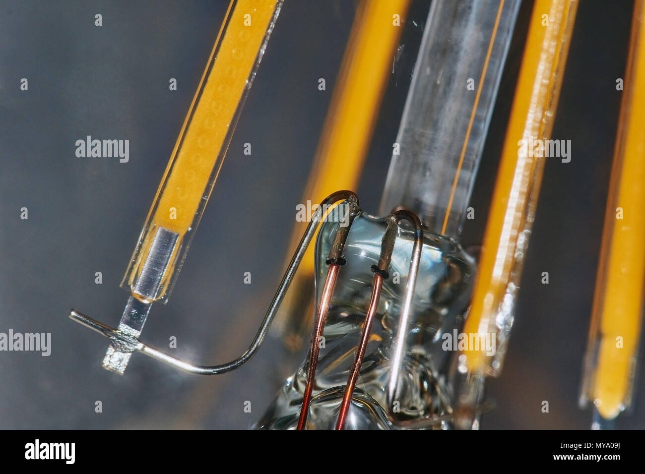 Fragment of the LED lamp under the microscope. The central glass ...