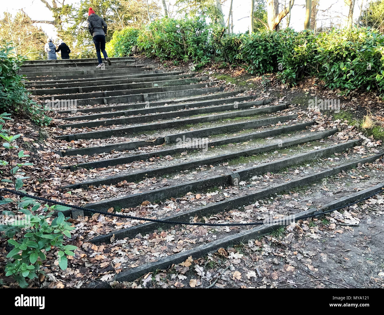 Claremont Landscape Gardens, Surrey Stock Photo - Alamy