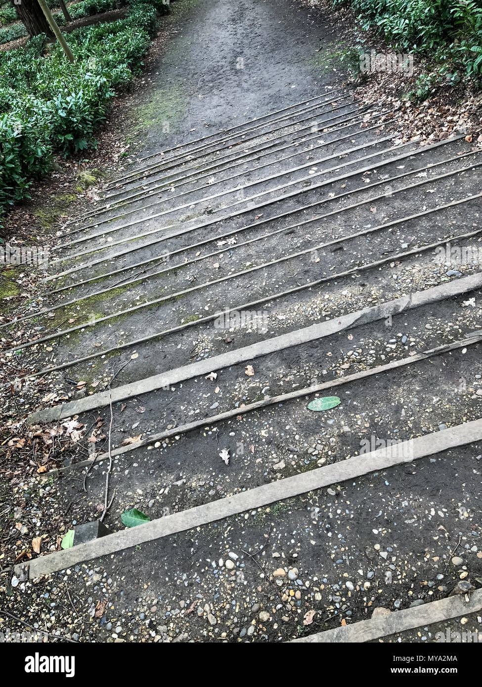 Claremont Landscape Gardens, Surrey Stock Photo - Alamy