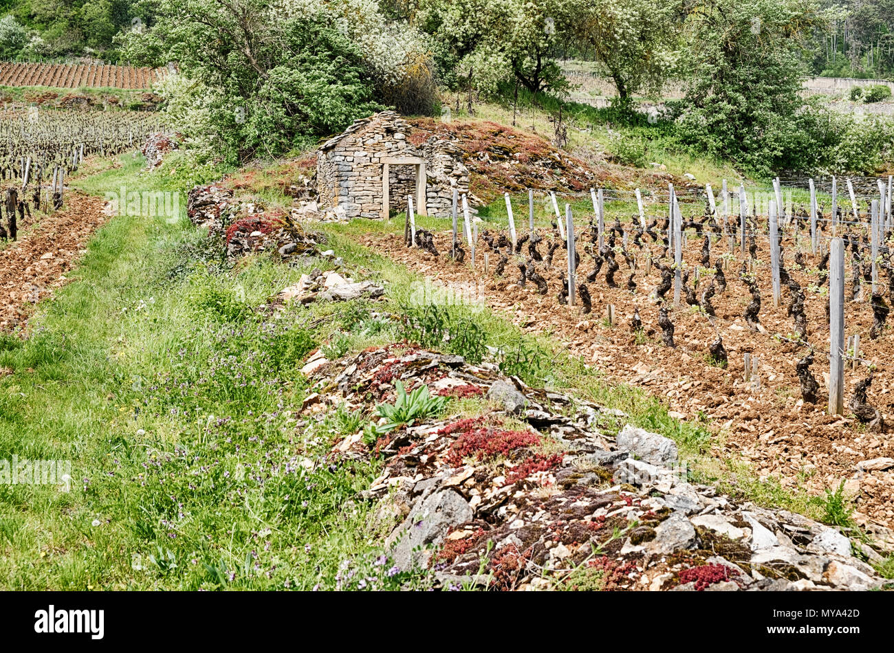 Old stone farm building hi-res stock photography and images - Alamy