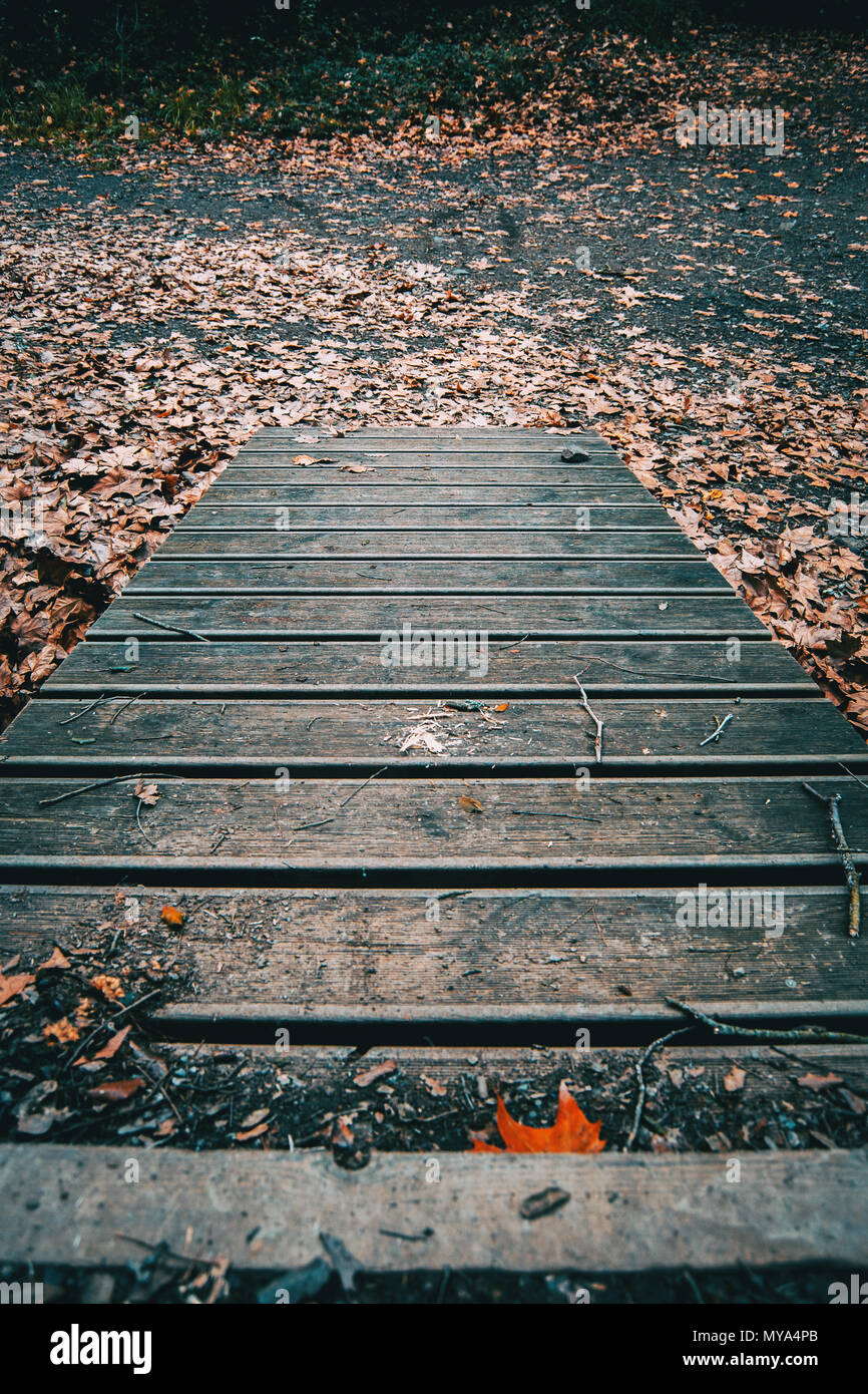 Path made wooden planks walkway hi-res stock photography and images - Alamy