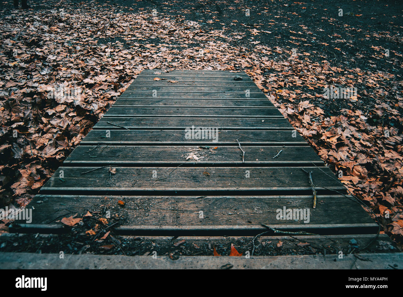 Autumnal path of wooden boards on the mountain Stock Photo - Alamy