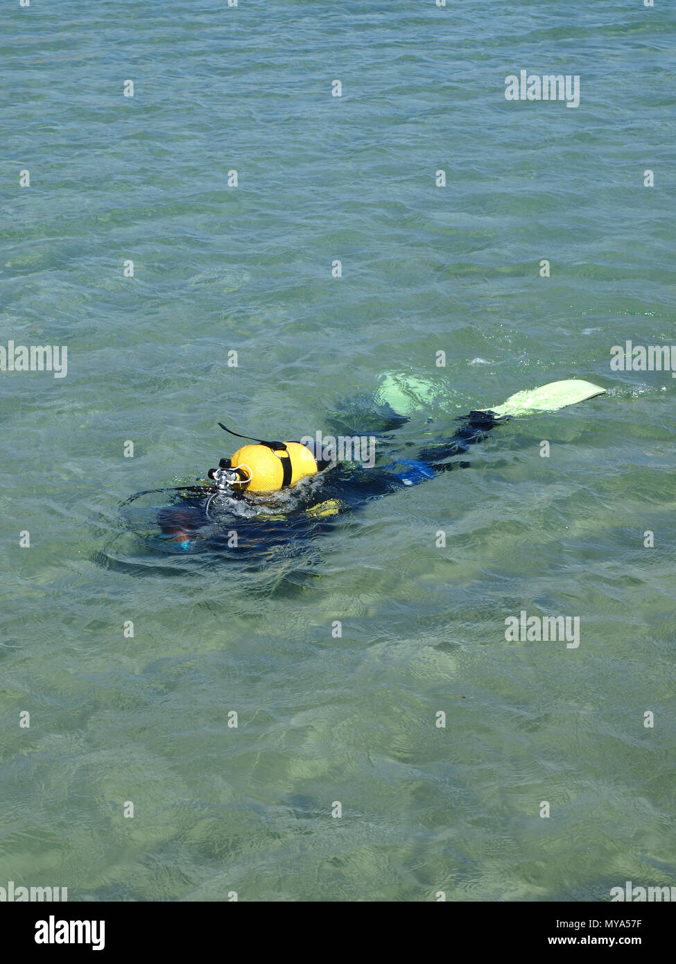 Scuba Diving students have a lesson in shallow crystal clear water of a ...