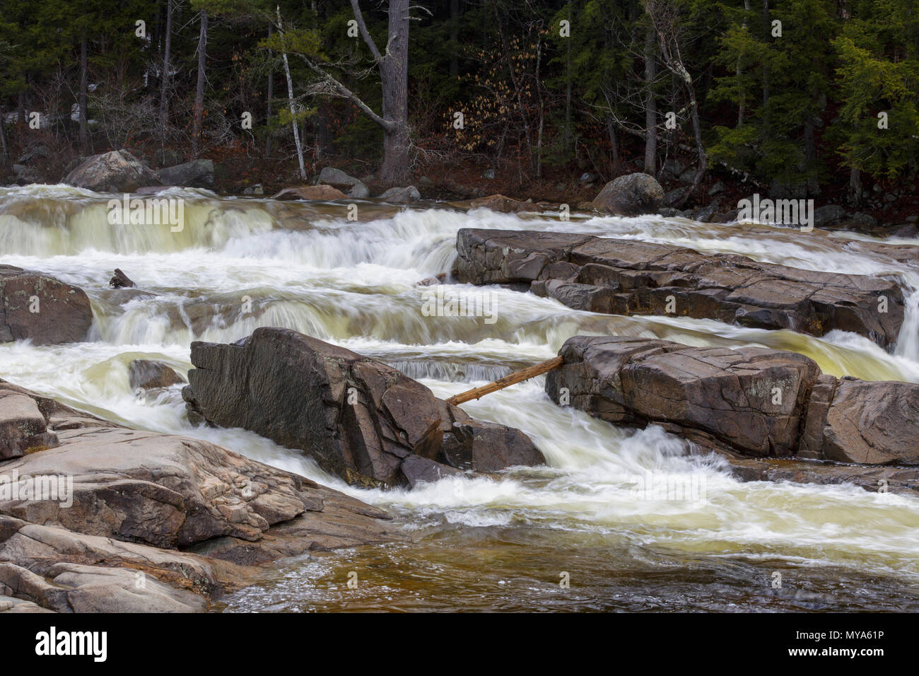 Lower Falls on the Swift River in Albany, New Hampshire USA during the ...