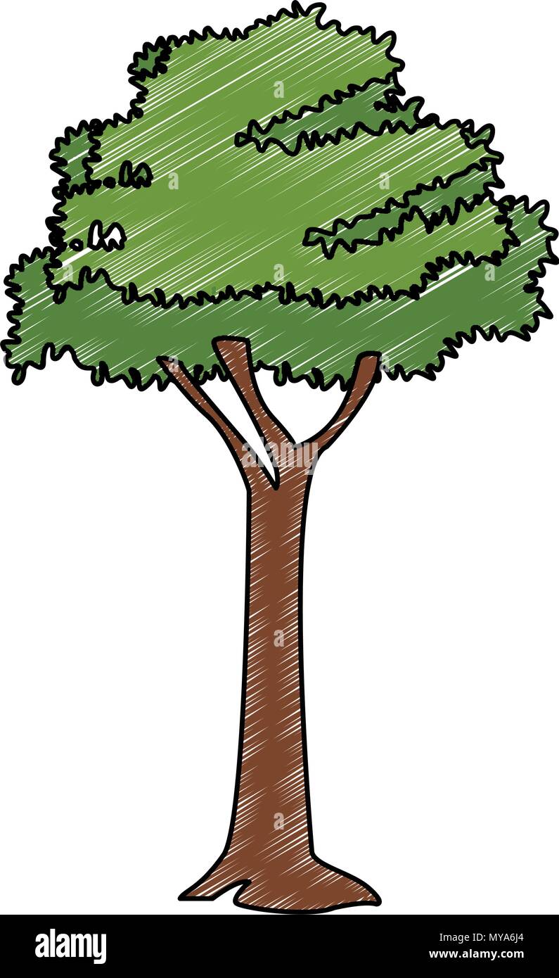 Tree nature isolated scribble Stock Vector Image & Art - Alamy