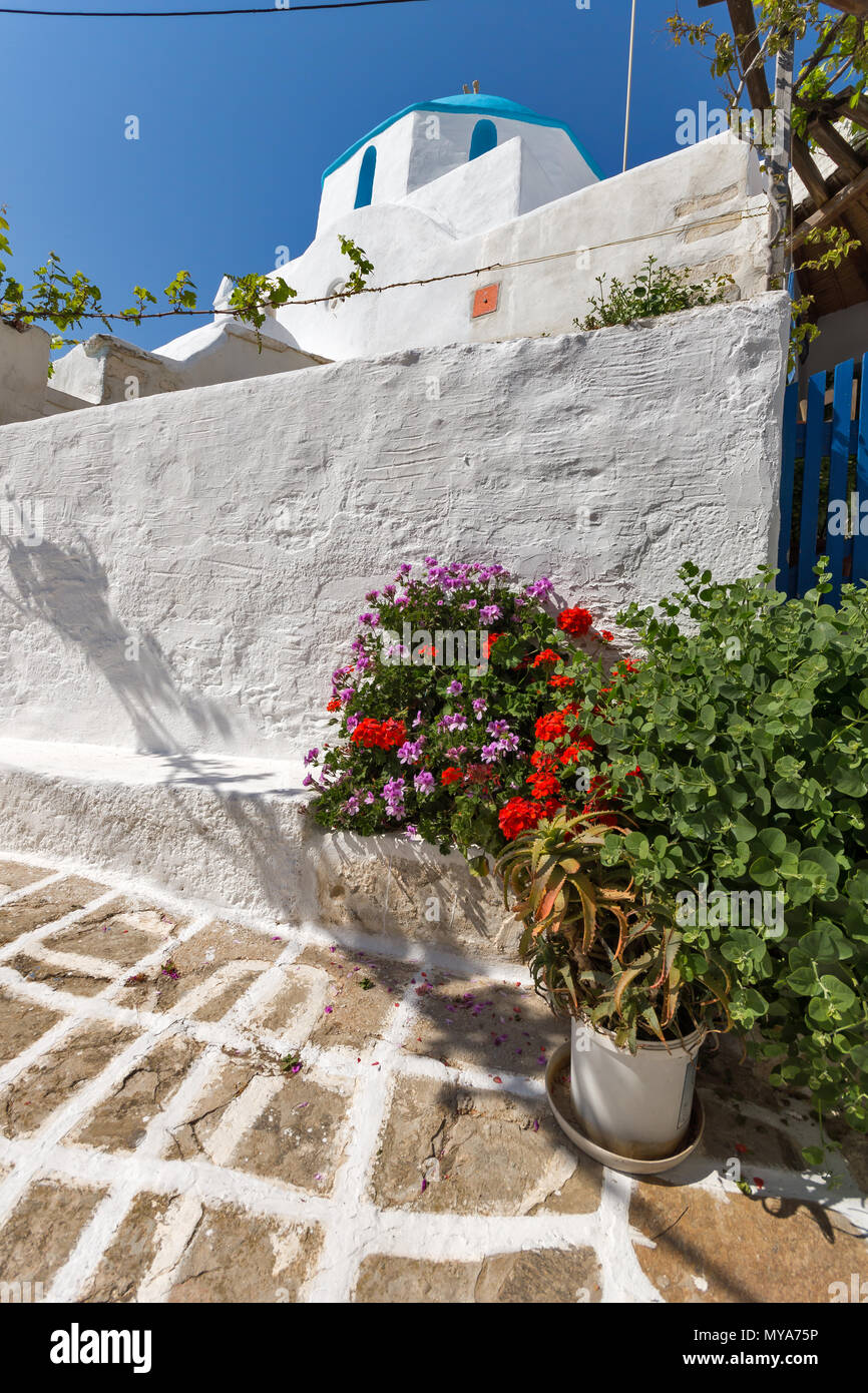 White church with blue roof in town of Parakia, Paros island, Cyclades ...